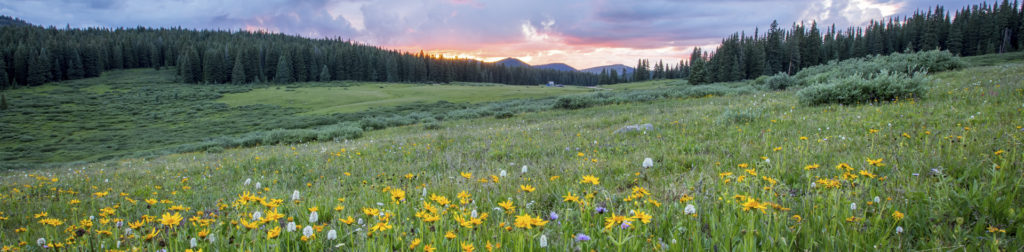 Ruby Valley ENT | Meet our Providers | Dr. John Gull | Ear, Nose & Throat